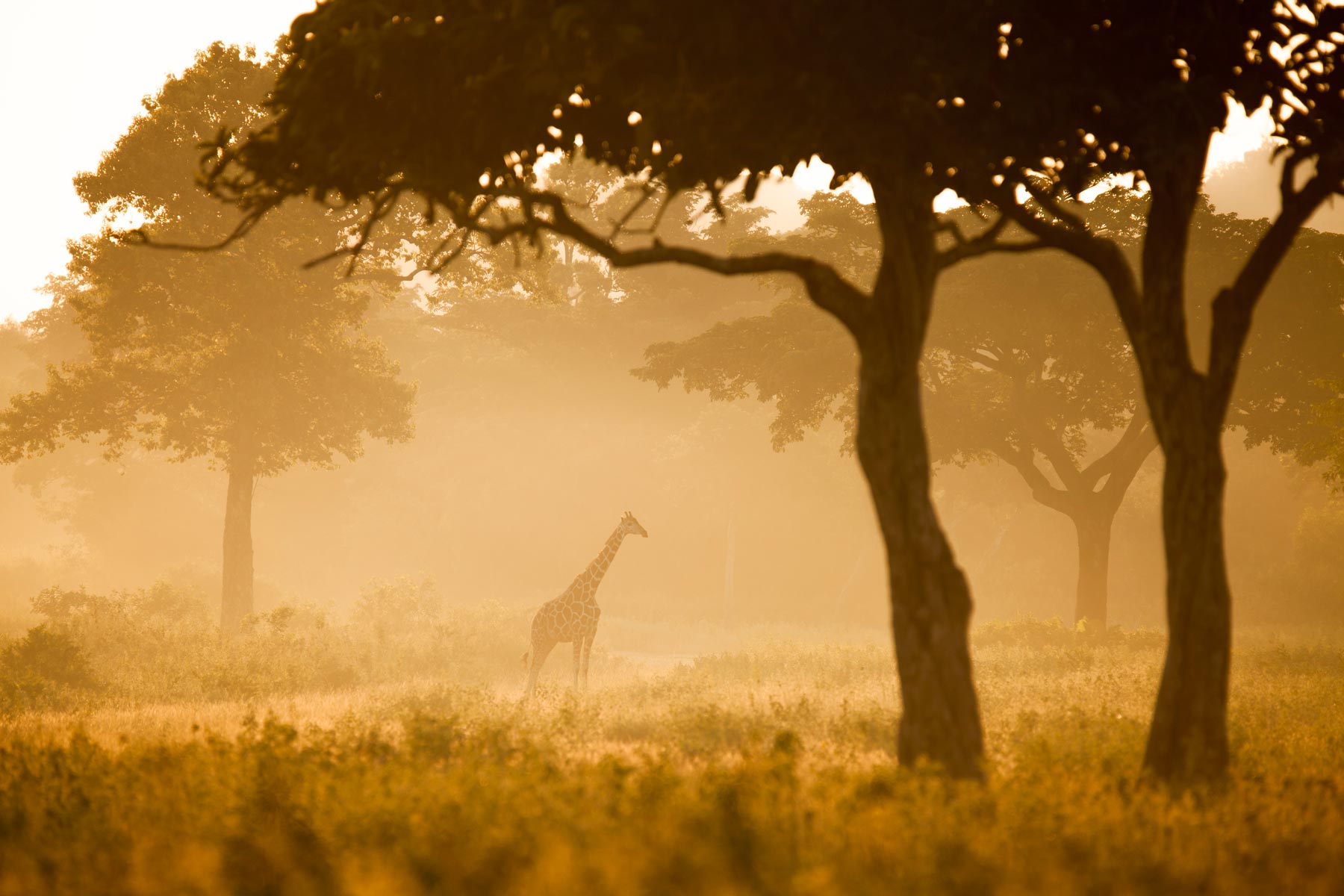 Private Guided Tours – Calamianes Expeditions Ecotours